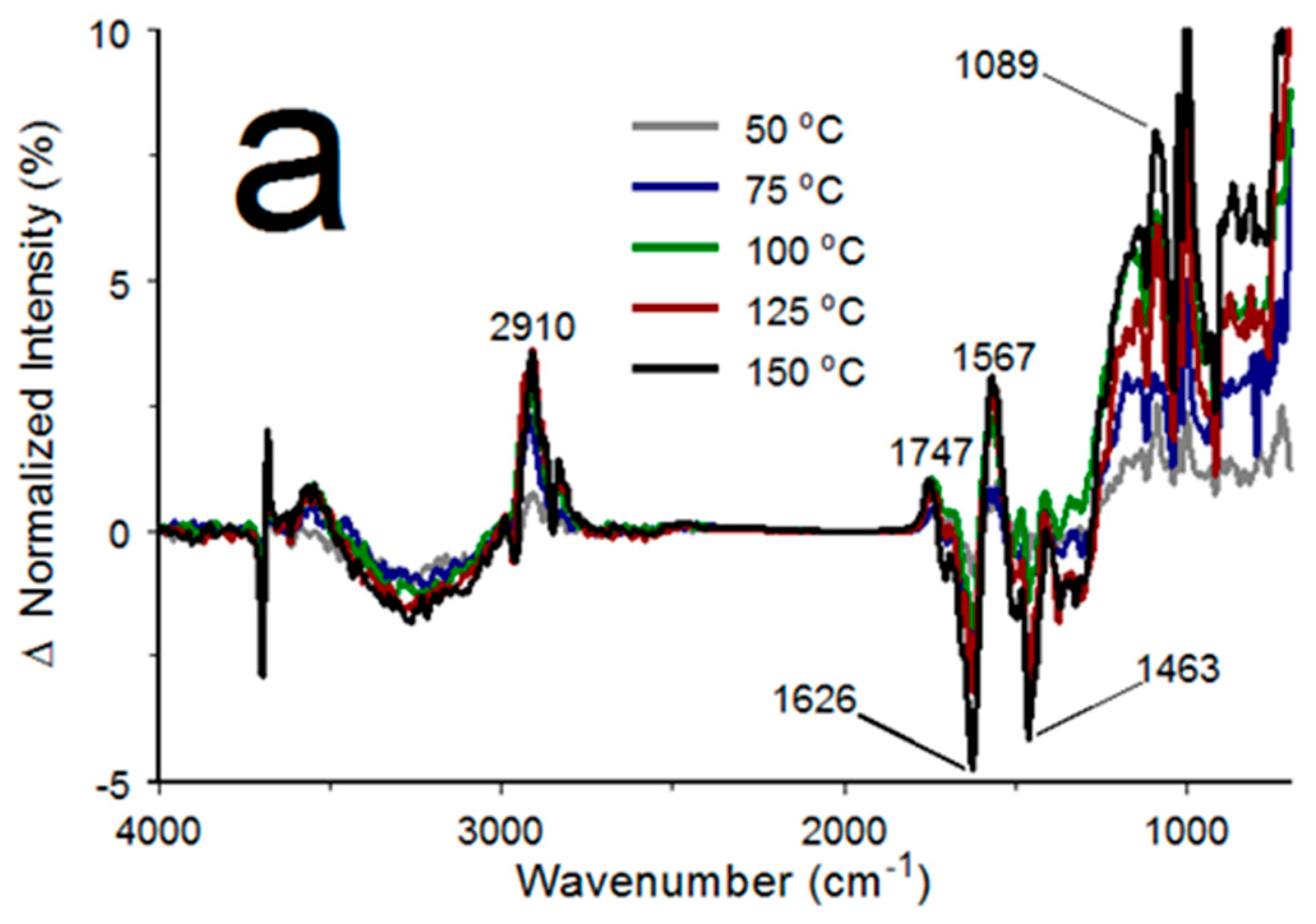 Temperature Perturbation Infrared Spectroscopy of Minerals