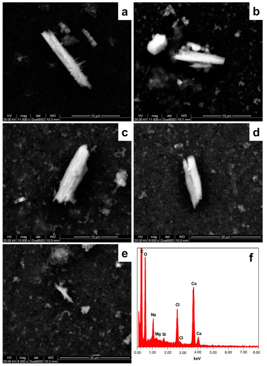 Application of a Multi-Technique Approach to the Identification of ...