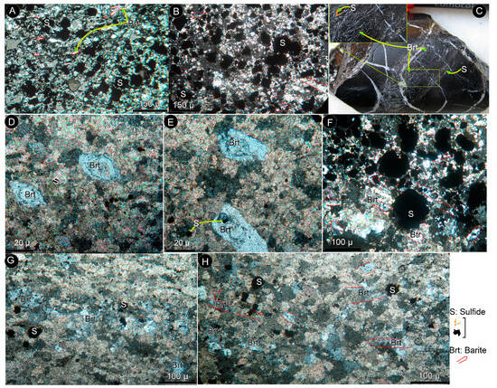 Barite Replacement as a Key Factor in the Genesis of Sediment-Hosted Zn ...