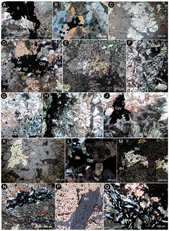 Barite Replacement as a Key Factor in the Genesis of Sediment-Hosted Zn ...