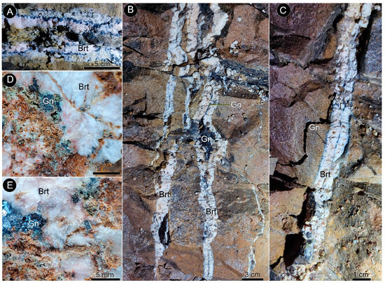 Barite Replacement as a Key Factor in the Genesis of Sediment-Hosted Zn ...