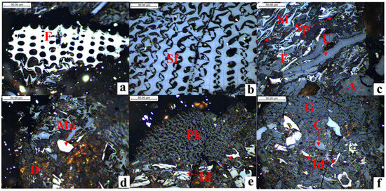 Geochemistry of Middle Jurassic Coals from the Dananhu Mine, Xinjiang ...