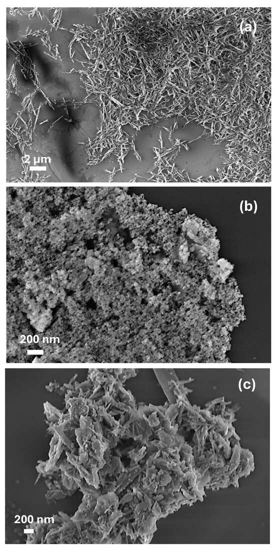 Minerals | Free Full-Text | High Performance of Ciprofloxacin Removal ...