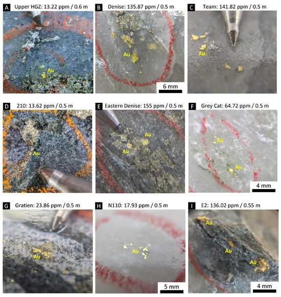 Minerals | Free Full-Text | LA-ICP-MS Analyses of Sulfides from Gold ...