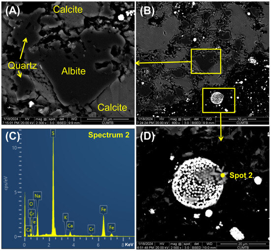 Enrichment Characteristics and Mechanisms of Lithium, Gallium, and Rare ...