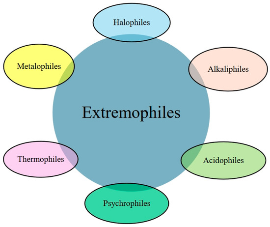 Unraveling the Potentials of Extremophiles in Bioextraction of Valuable ...