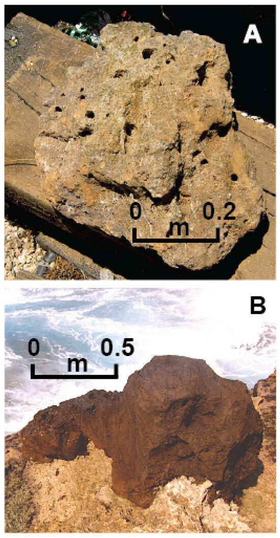 Abiotic and Biotic Processes Controlling Deposition of Calcite and ...