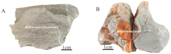 Sediment-Hosted Rare-Earth Elements Mineralization from the Dian-Qian ...