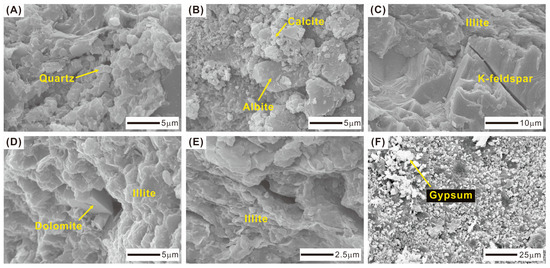 Boron Enrichment in Salinized Lacustrine Organic-Rich Shale of the ...