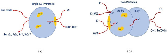 Surface Chemistry and Flotation of Gold-Bearing Pyrite