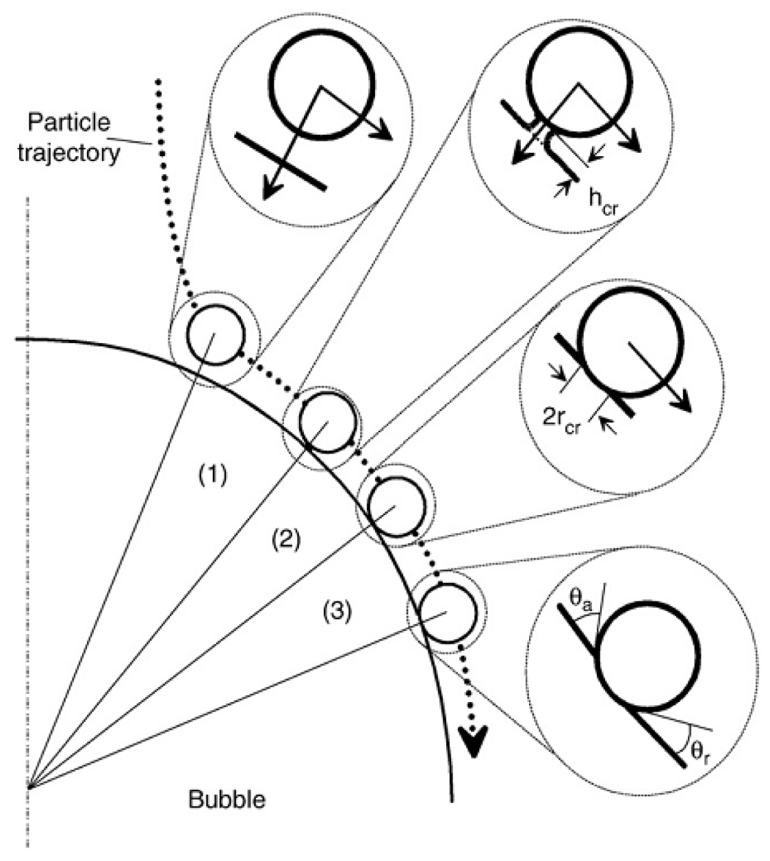 Study on the Dynamic Process of the Attachment of a Single Bubble to Rough Surfaces with ...