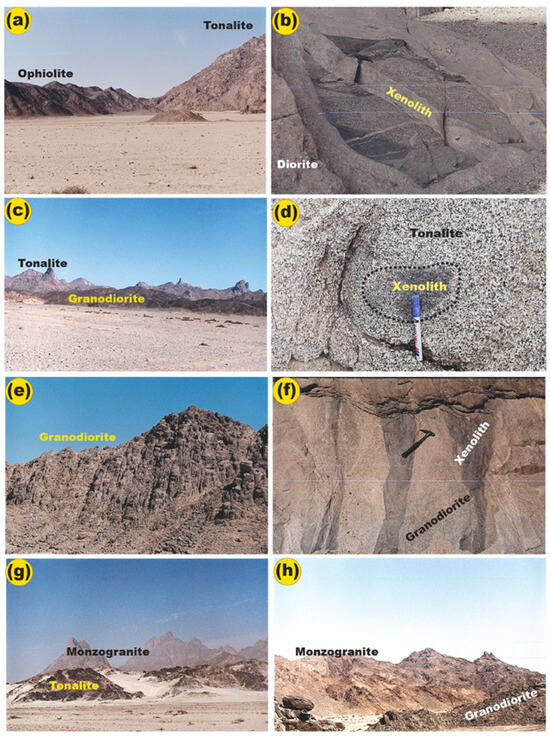 Composite Granitic Plutonism in the Southern Part of the Wadi Hodein ...