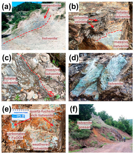 Mineralogy and Geochemistry of Listvenite-Hosted Ni–Fe Sulfide ...