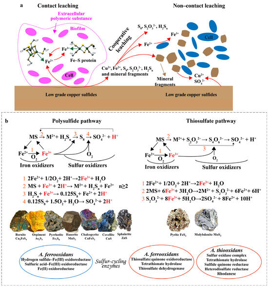 Accumulated Copper Tailing Solid Wastes with Specific Compositions ...