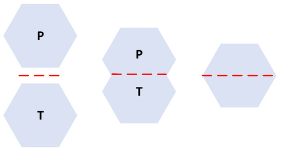 Gypsum: From the Equilibrium to the Growth Shapes—Theory and Experiments