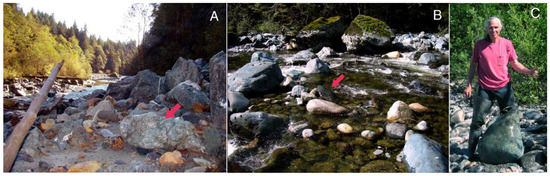Nephrite Jade and Related Rocks from Western Washington State, USA: A ...