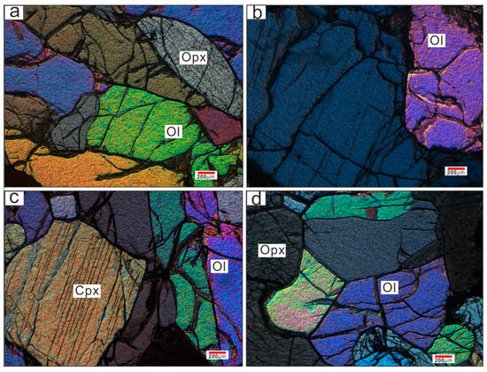 Genetic Type and Formation Evolution of Mantle-Derived Olivine in ...
