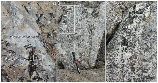 Apatite in Pegmatoid Gabbro (Khudolaz Differentiated Complex, Southern ...