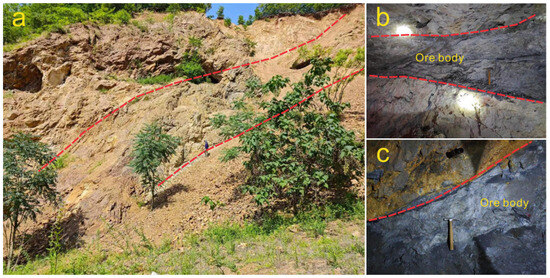 Origin of the Miaoling Gold Deposit, Xiong’ershan District, China ...