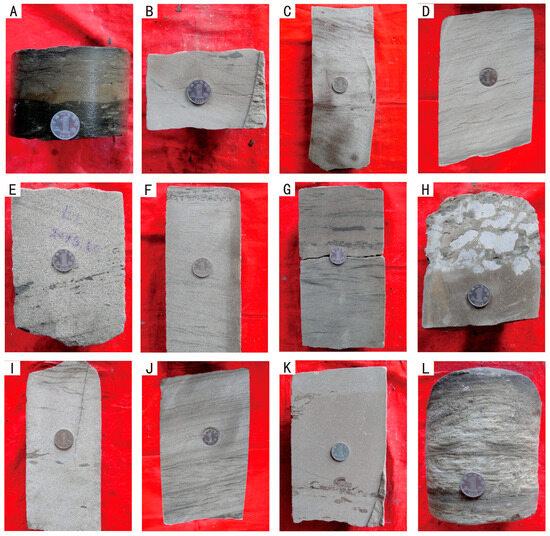 Sedimentary Characteristics of Shallow Water Delta: A Case Study from ...