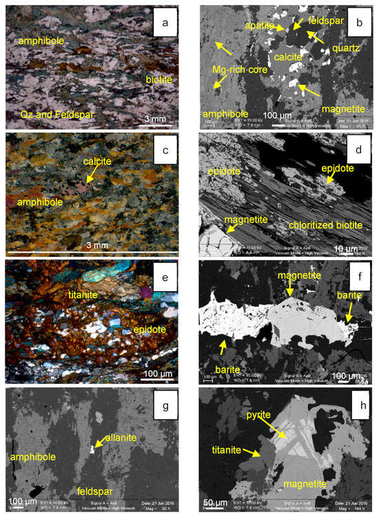 Magnetite Texture and Geochemistry in the Takab Ore Deposit (NW Iran ...