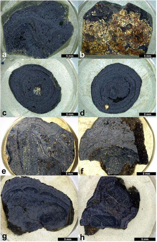 Geochemistry of REE and Other Critical Elements in Deep-Sea Polymetallic Nodules from ...