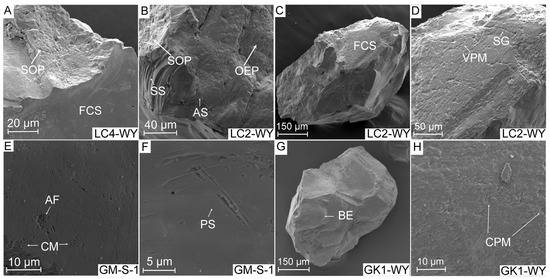 An Exploratory Study of Quartz Grain Surface Microtextures in Dam-Break ...