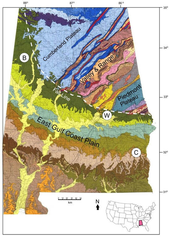 Mineralization of Fossil Wood with Macrocrystalline Quartz: A ...