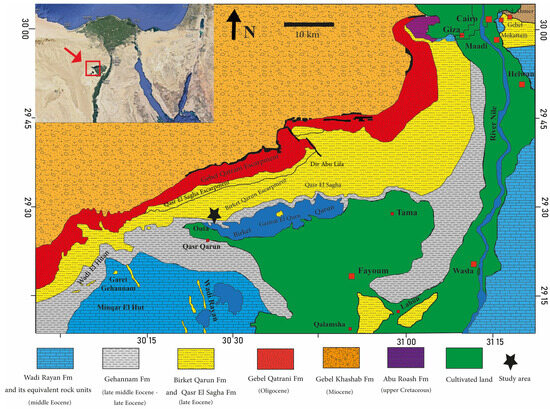 Paleoenvironments and Paleoclimate Reconstructions of the Middle–Upper ...