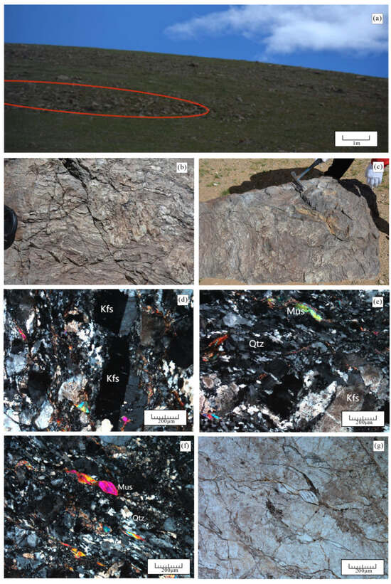 S-Type Granites from the Guomang-Co Area in Central Tibet: A Response ...