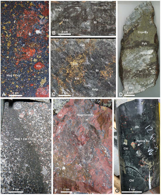 Metasomatic Mineral Systems with IOA, IOCG, and Affiliated Critical and ...
