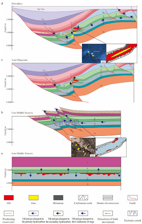Bitumen Characteristics, Genesis, and Hydrocarbon Significance in ...