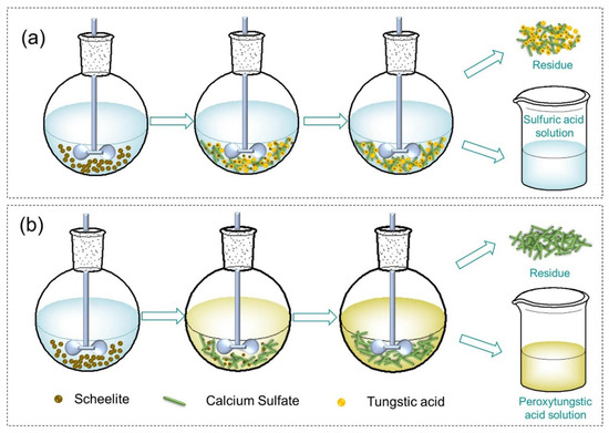 Leaching of Scheelite Concentrate for Tungsten Extraction