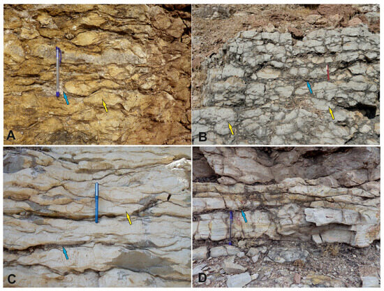 Sedimentary Stylolites Roughness Inversion Enables the Quantification ...