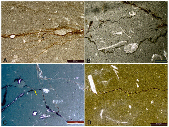 Sedimentary Stylolites Roughness Inversion Enables the Quantification ...
