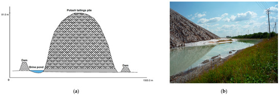 Environmental Aspects of Potash Mining: A Case Study of the ...