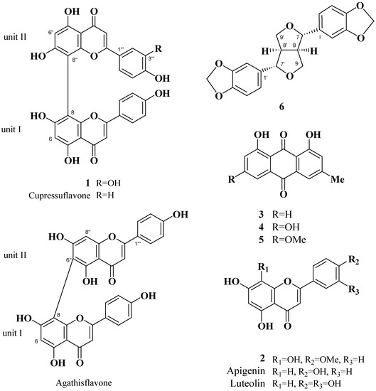 Constituents from Moghat, the Roots of Glossostemon bruguieri (Desf.)