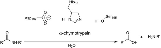 Synthesis of Functionalised Nucleosides for Incorporation into Nucleic ...