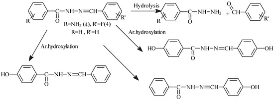 Biological Activities of Hydrazone Derivatives