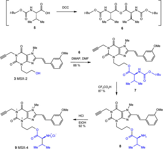 Synthesis and Properties of a New Water-Soluble Prodrug of the ...