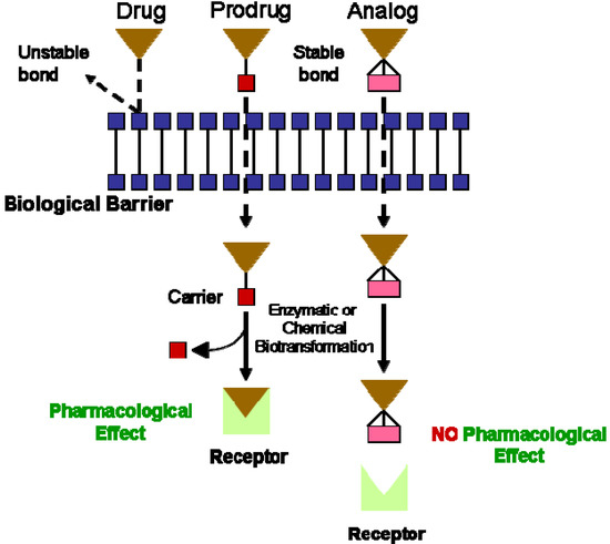 Prodrugs in Cardiovascular Therapy