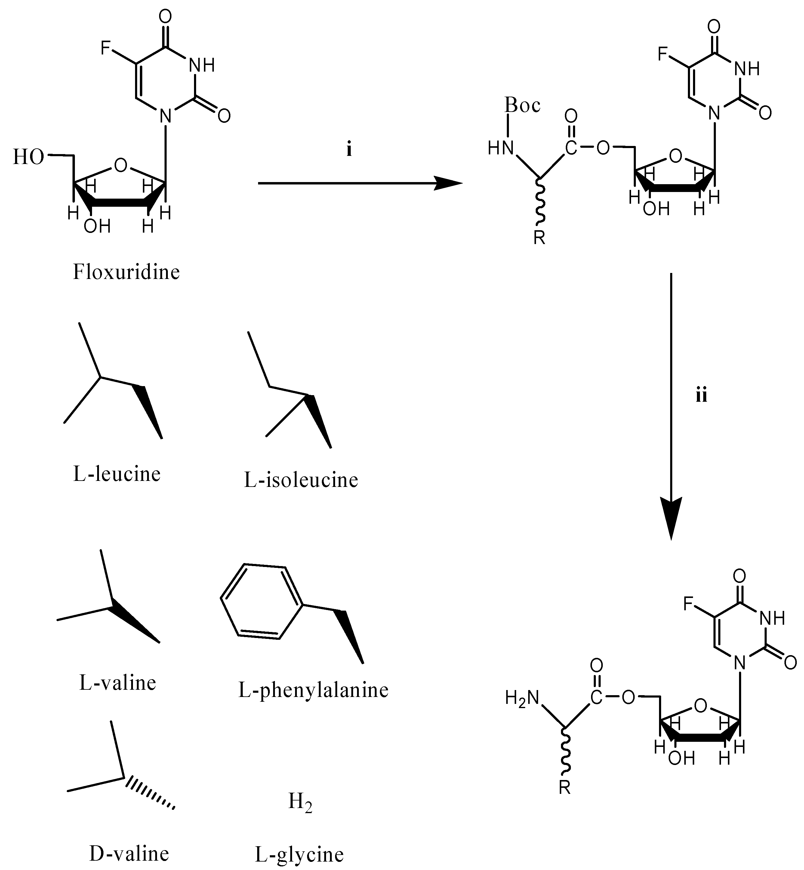 Enhanced Absorption and Growth Inhibition with Amino Acid Monoester ...