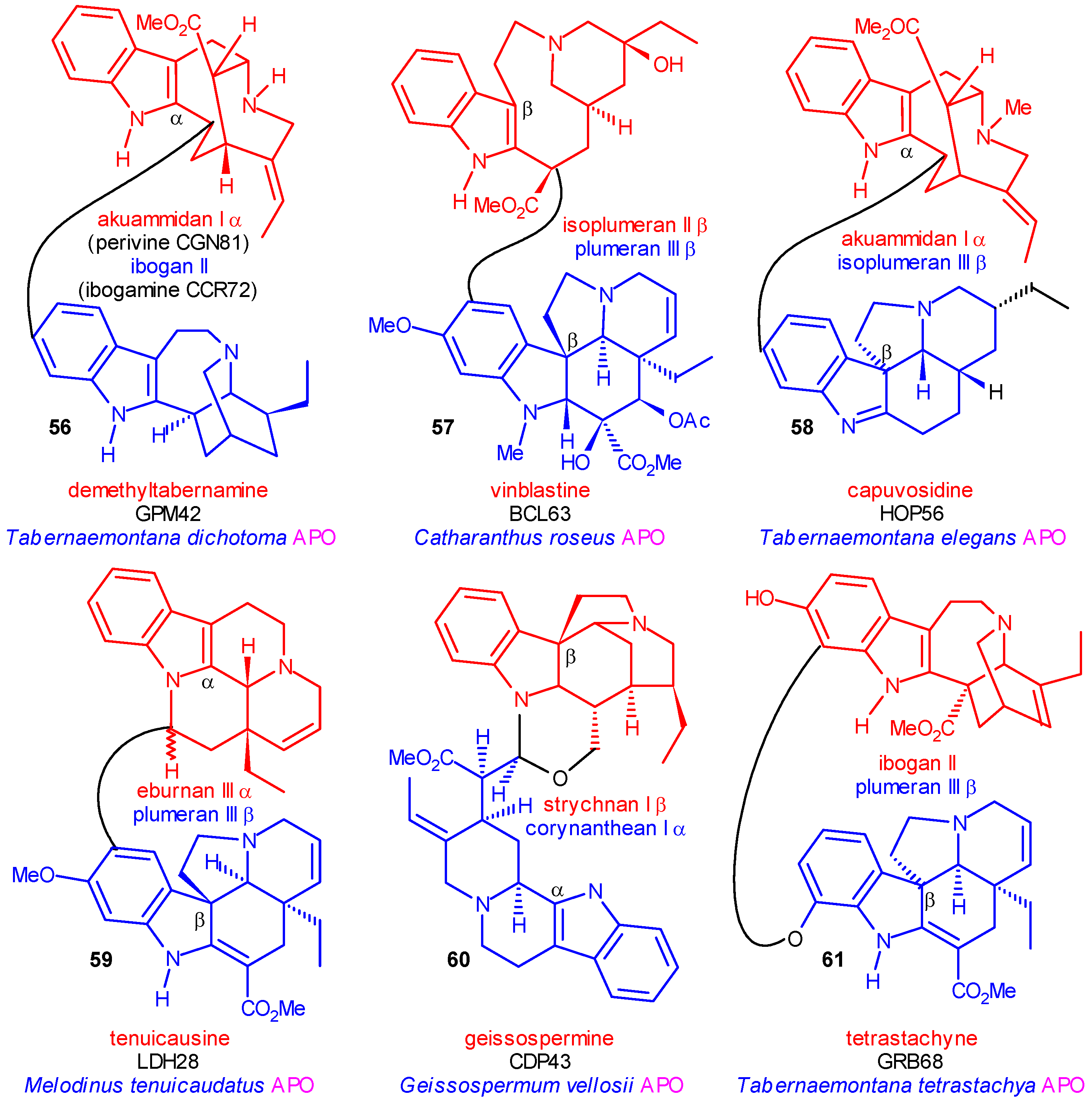 Rigorous Biogenetic Network for a Group of Indole Alkaloids Derived ...