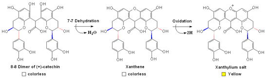 Chemical Synthesis of Proanthocyanidins in Vitro and Their Reactions in ...