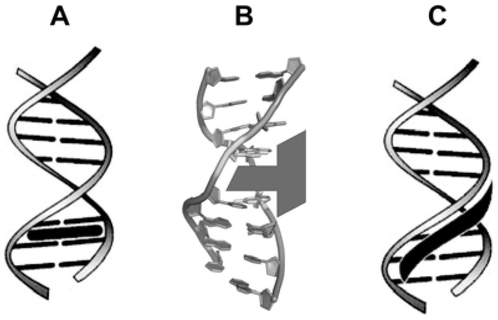 Recent Developments in the Chemistry of Deoxyribonucleic Acid (DNA ...