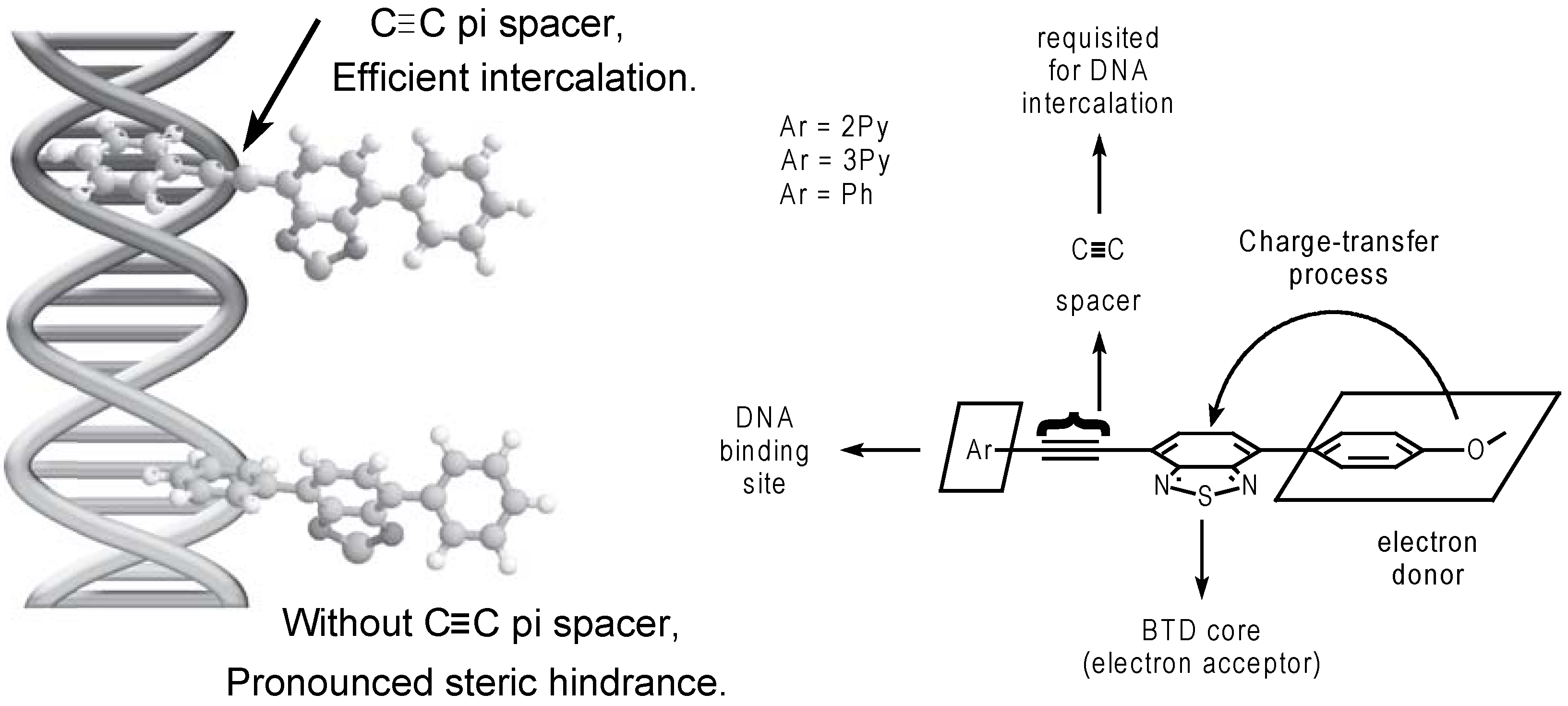 Recent Developments in the Chemistry of Deoxyribonucleic Acid (DNA ...