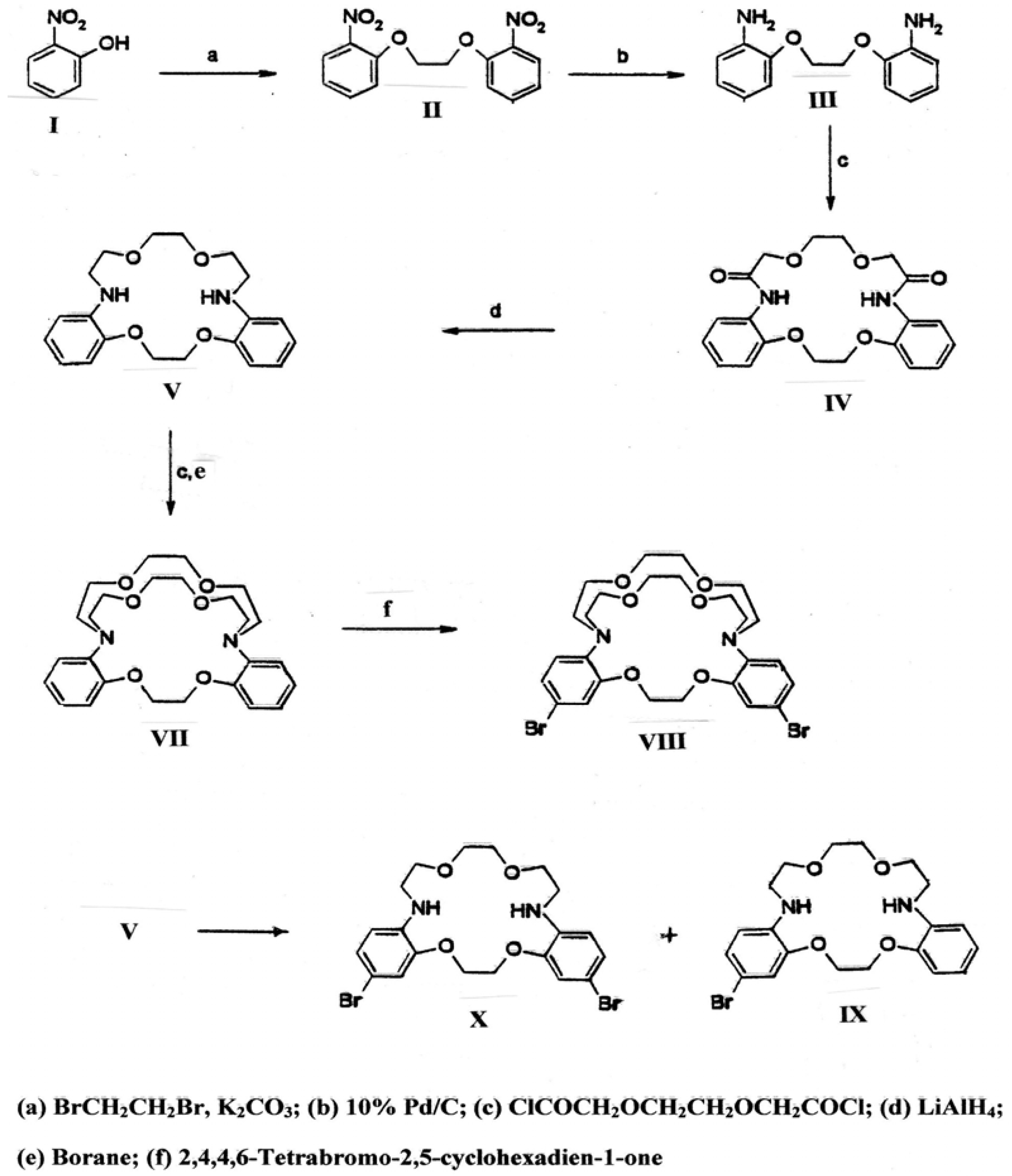 Synthesis of a [2.2.2] Cryptand Containing Reactive Functional Groups
