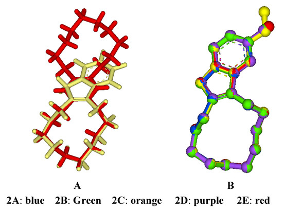 Facile Synthesis and Preferred Conformation Analysis of Cyclododeceno[b ...