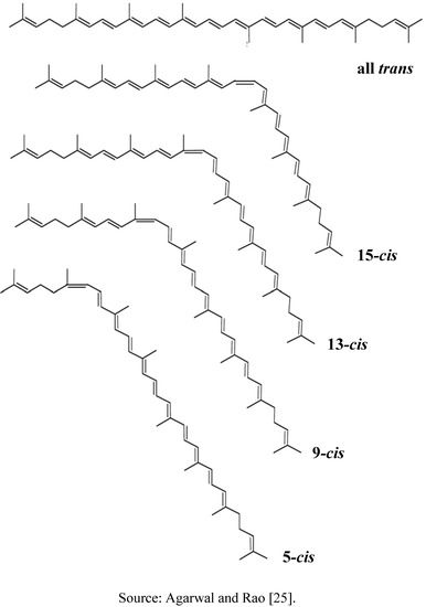 Revealing the Power of the Natural Red Pigment Lycopene