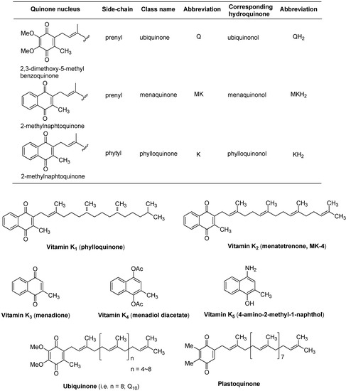 Vitamin K2 Structure